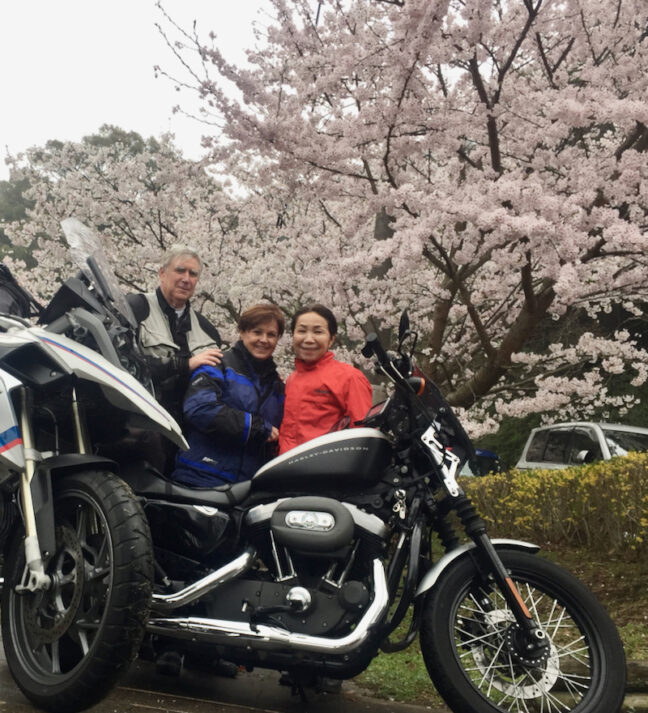 Cherry blossoms “Sakura “Touring | Motorcycle Tours in Japan | Fun Ride ...